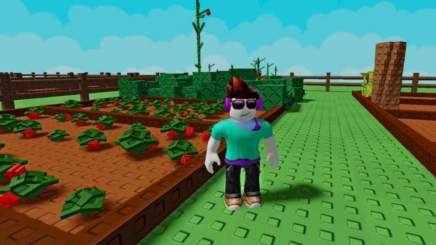 Grow a Garden Codes (December 2025) All Working Codes