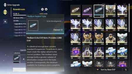 How to efficiently upgrade Echoes in Wuthering Waves without wasting ...