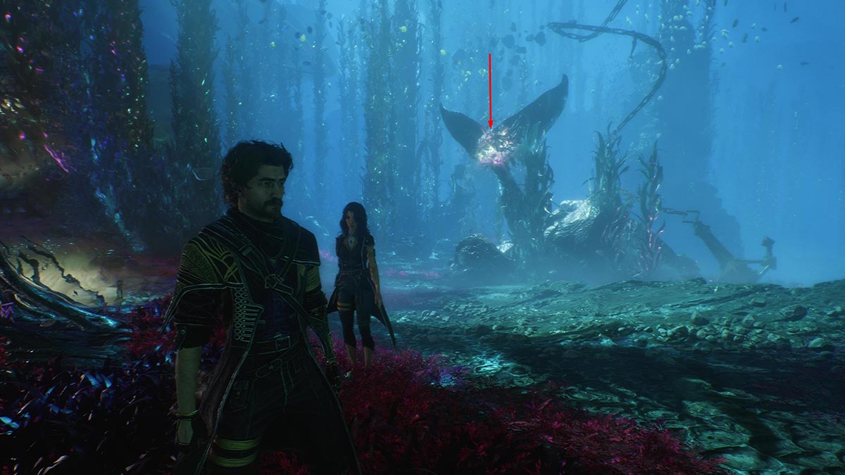 All Paint Cage Locations in Clair Obscur Expedition 33 | Pro Game Guides