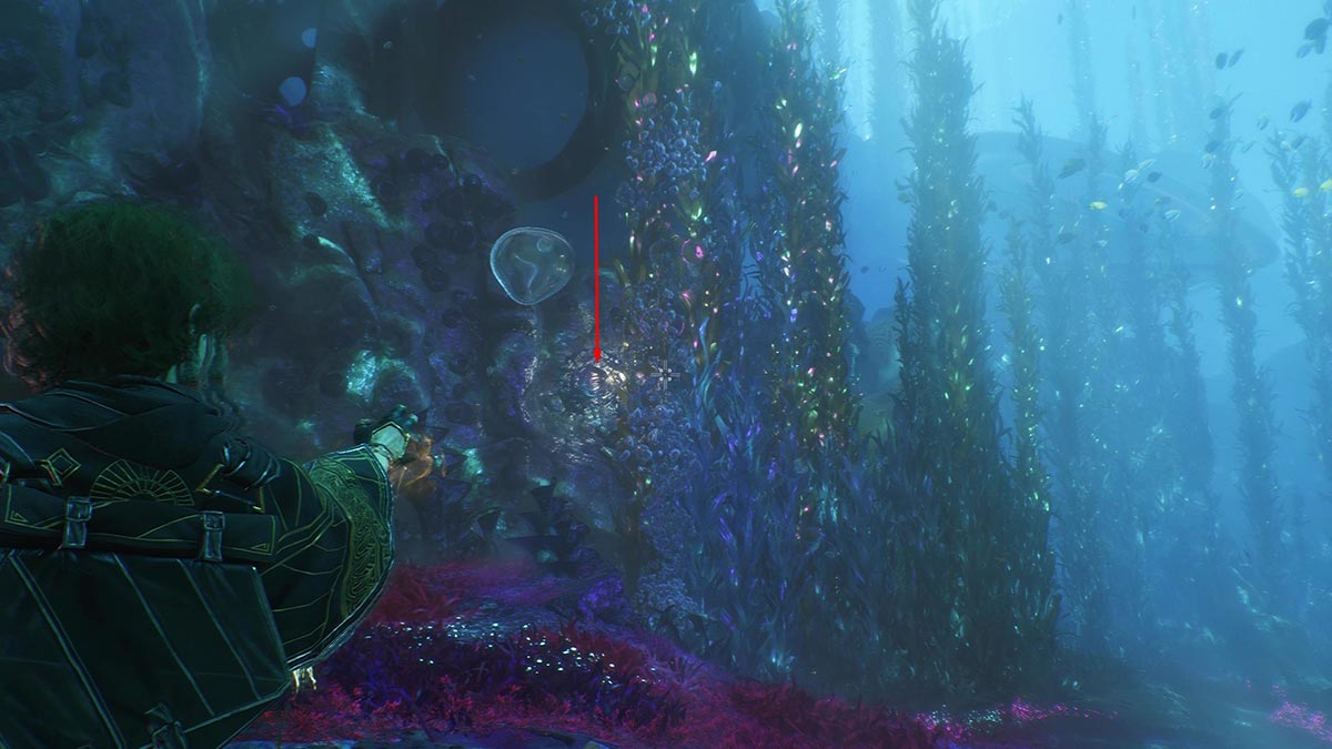 All Paint Cage Locations in Clair Obscur Expedition 33 | Pro Game Guides