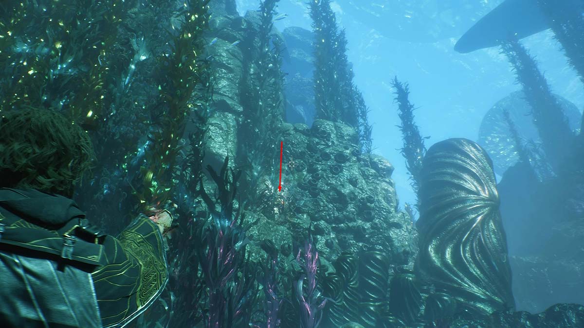 All Paint Cage Locations in Clair Obscur Expedition 33 | Pro Game Guides